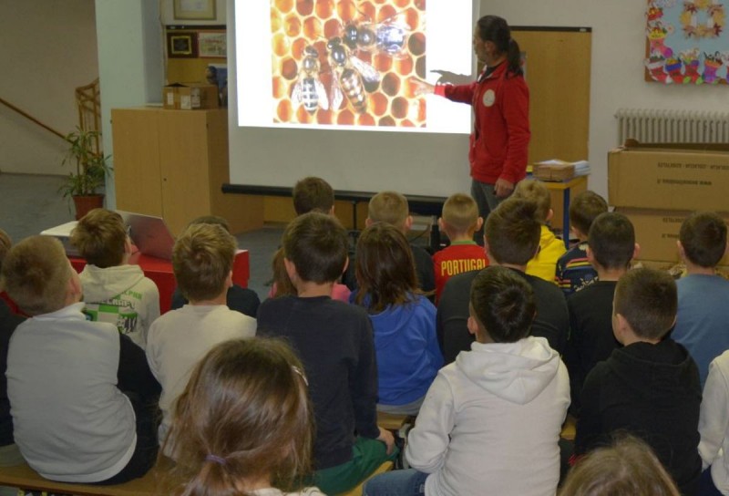[FOTO] Predsjednik Pčelarske udruge Učka educirao učenike OŠ Drago ...