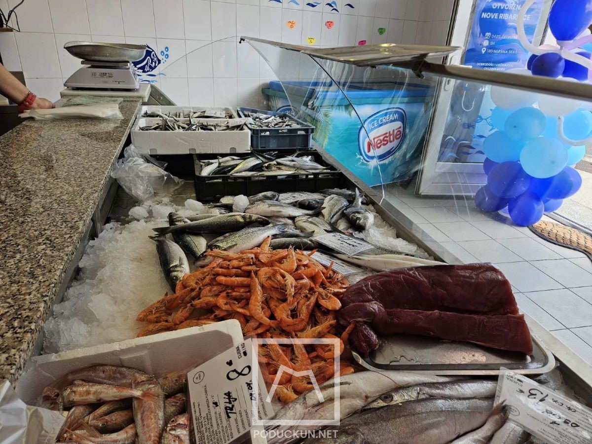 [U OKU KAMERE] Otvorena ribarnica Ugor Nova - Matuljcima ponovo ...